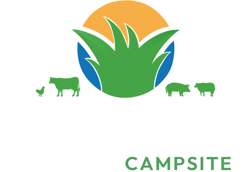 High Hall Campsite – A wilder camping experience in Cumbria's Eden Valley