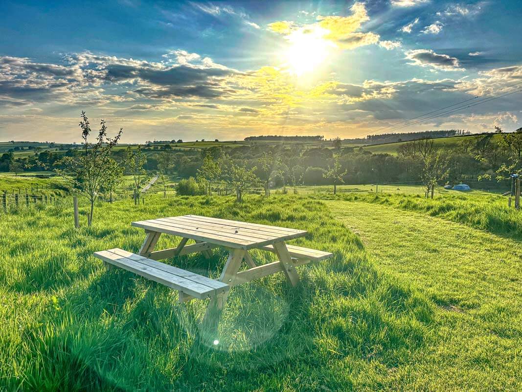 High Hall Campsite – A wilder camping experience in Cumbria's Eden Valley