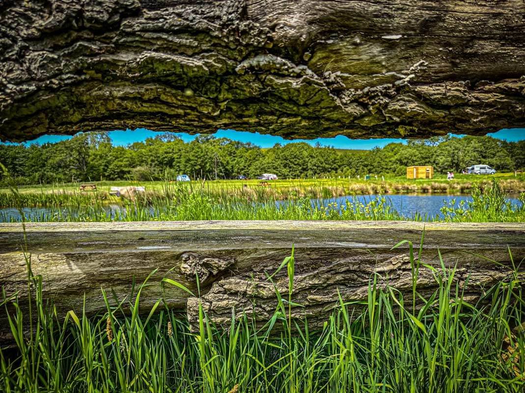 High Hall Campsite – A wilder camping experience in Cumbria's Eden Valley